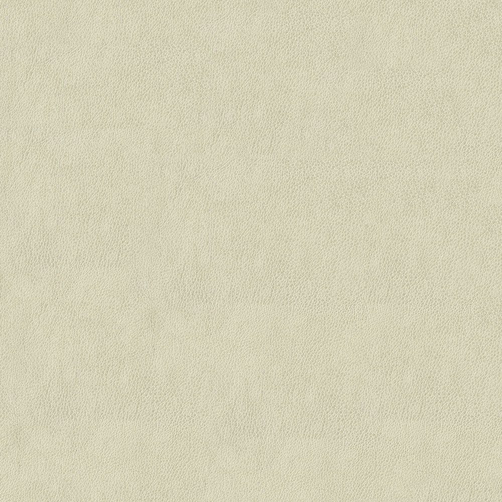 Claro Sample – Ennis Fabrics